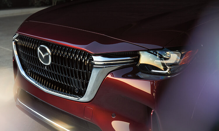 MZEXTPNTPR0 - Mazda Premium Car Care Exterior Protection - Mazda ...