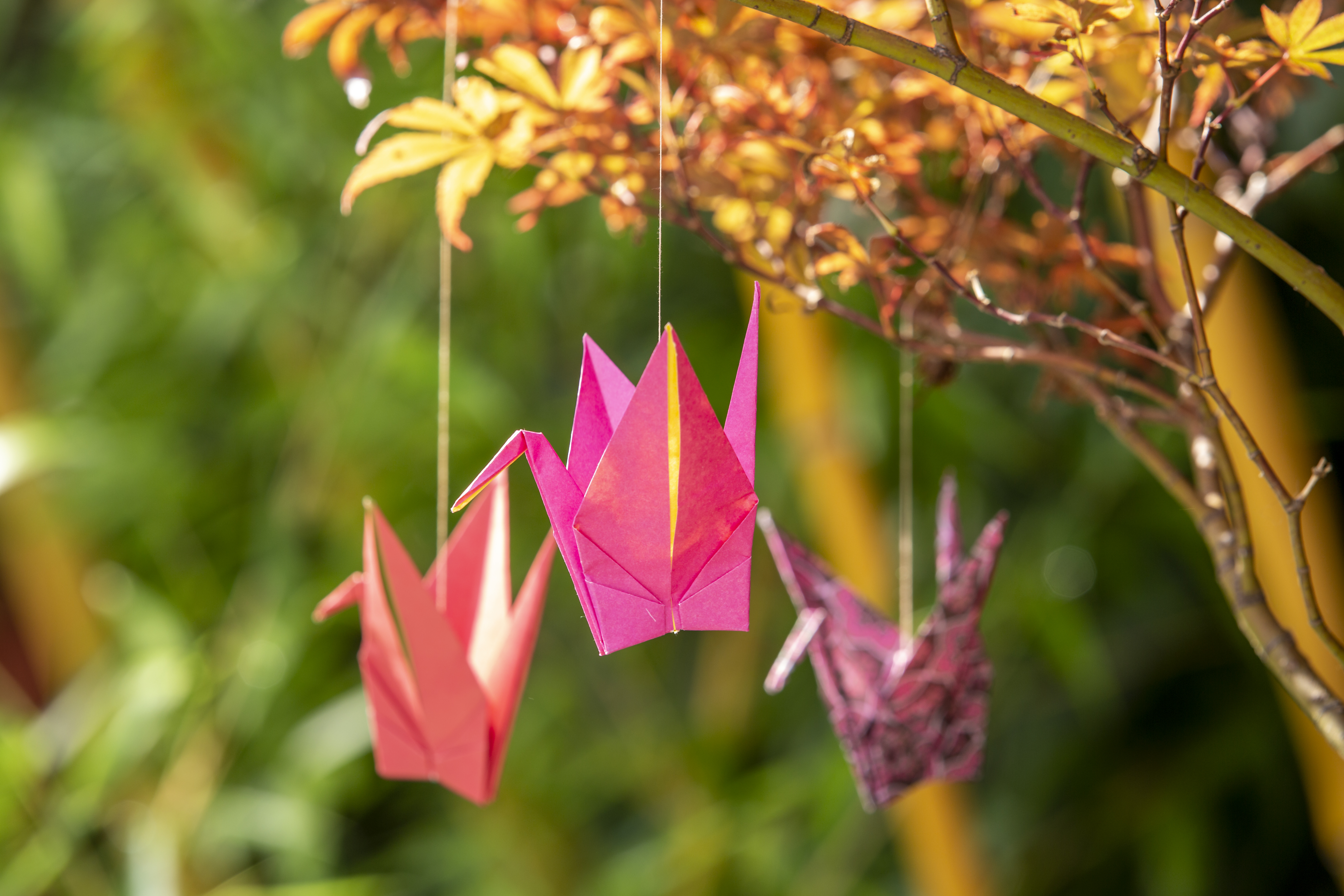 Paper Cranes Origami